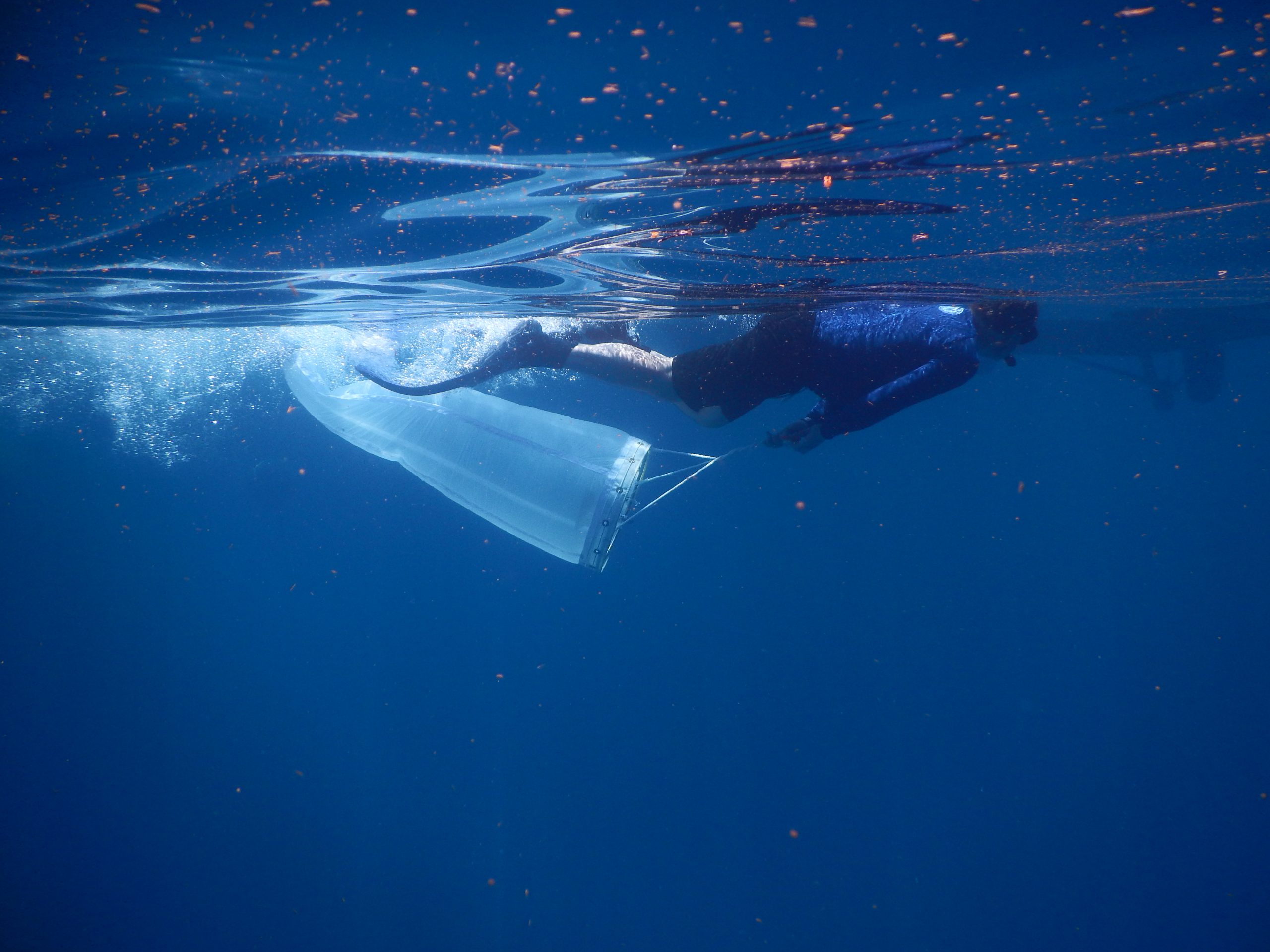 A Life Subaquatic | Fabien Cousteau | Helena Magazine | Helena